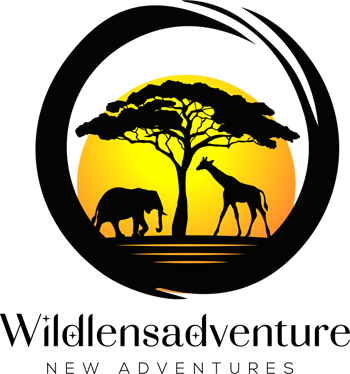 Home - Wildlens Adventure